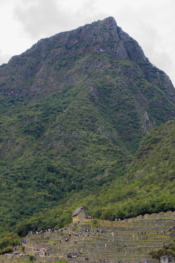 The Terraces or Agricultural Platforms of the Inca Empire Machu Picchu ...