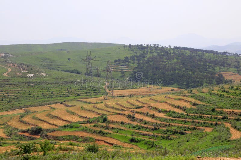 Terraces on hillside stock image. Image of china, season - 378271165
