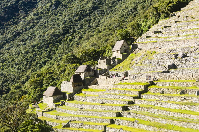 The Terraces of Machu Picchu Stock Photo - Image of tree, inca: 72932162