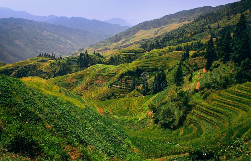 Terraces and mountains stock photo. Image of asia, hill - 6060188