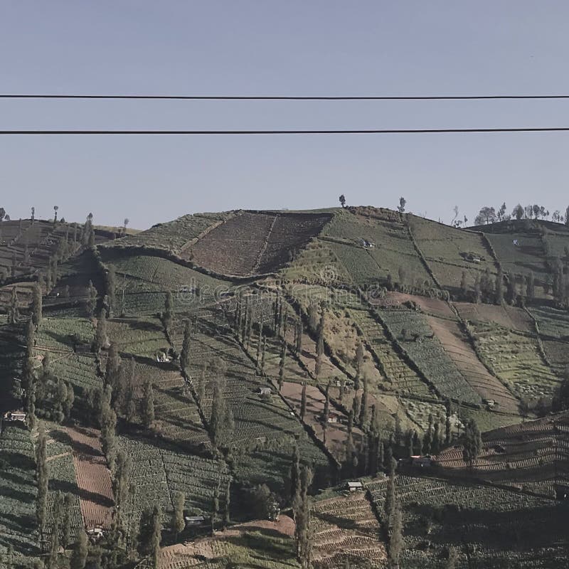 Terracing stock image. Image of mountain, terracing - 222571451