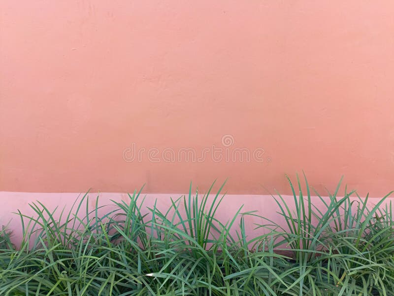 Terracotta Colored Plaster Wall, Rustic Background or Texture Stock ...
