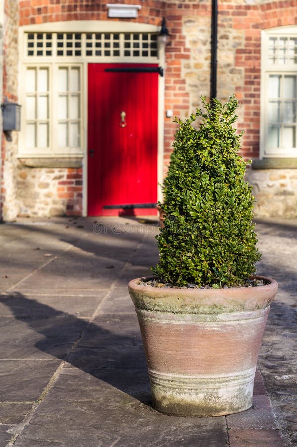 Terracotta Pot stock image. Image of ideas, cotta, gardener - 53276789