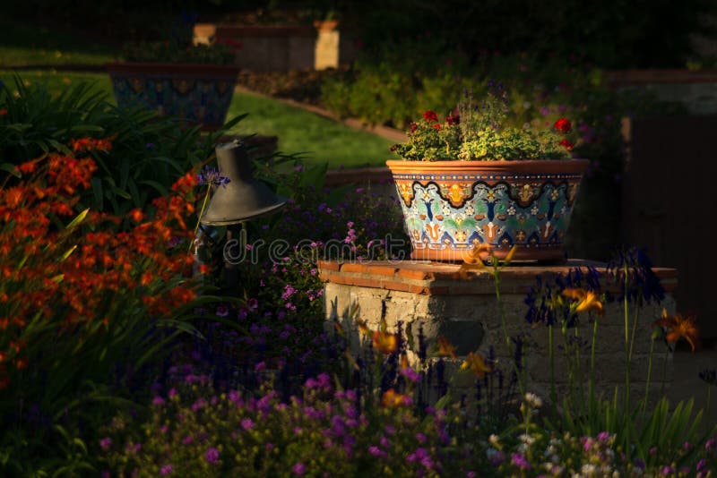 Terracotta pot in a garden stock photo. Image of spring - 260151462