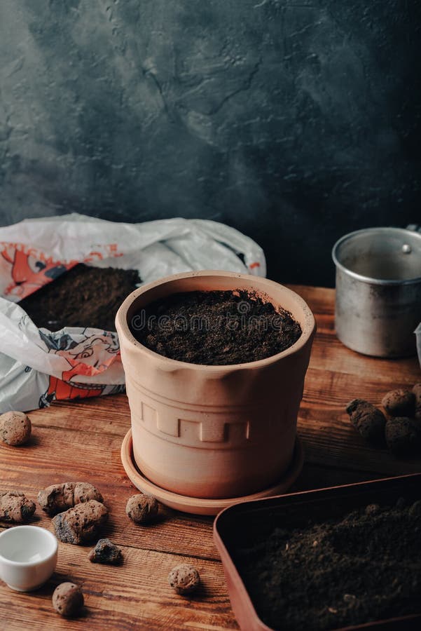 Terracotta Pot with Soil and Sowed Seeds Stock Image - Image of farming ...