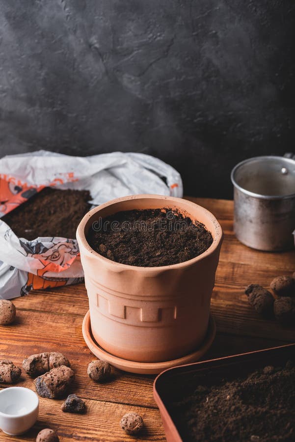 Terracotta Pot with Sowed Thyme Seeds Stock Image - Image of homegrown ...