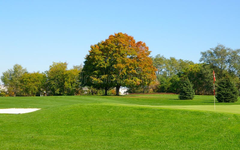 Parcours Ouvert D'un Beau Terrain De Golf Image stock - Image du ...