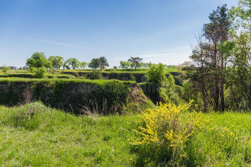 Terrain with Ravines Overgrown with Single Trees in Sptingtime Stock ...