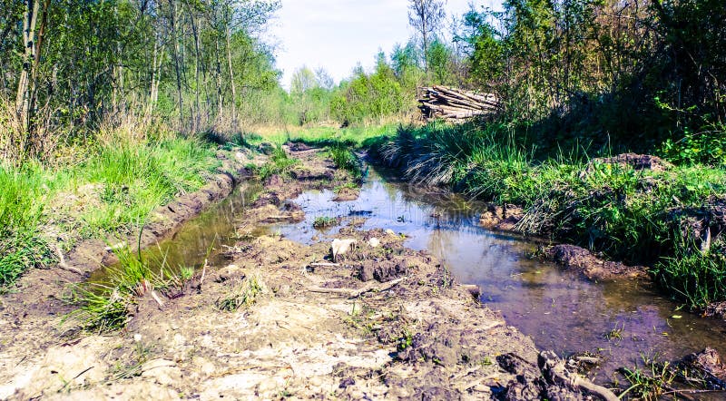 Terrain road in forest stock image. Image of hill, nature - 28356569