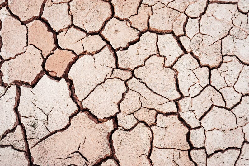 Terrain texture stock photo. Image of nature, candid - 48369186