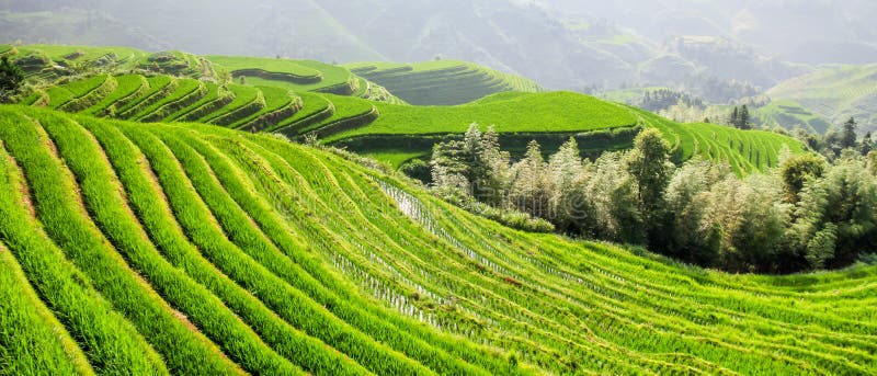 Terrance in china stock photo. Image of nature, field - 12771030