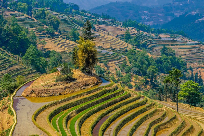 Terrasses De Riz De Yuanyang, Yunnan, Chine Image stock - Image du bleu ...