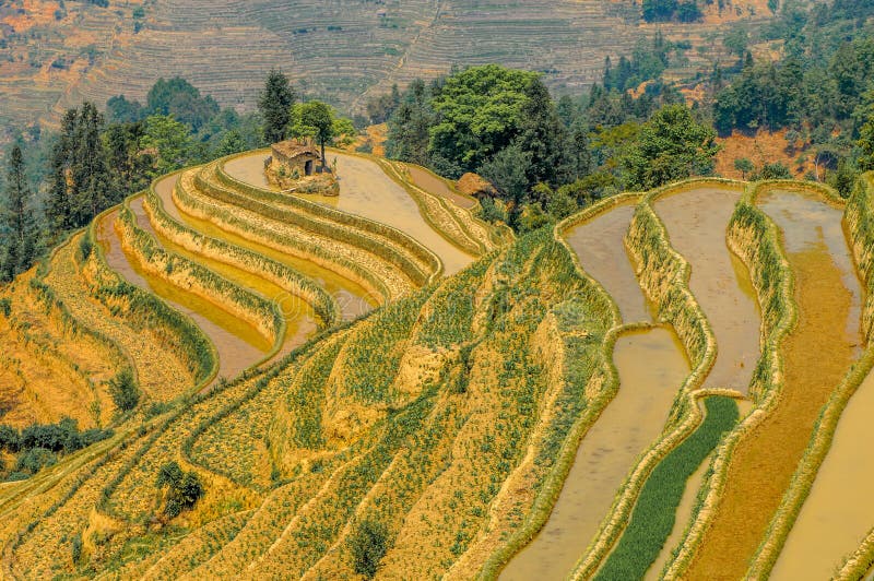 Terrasses De Riz De Yuanyang, Yunnan, Chine Image stock - Image du ...