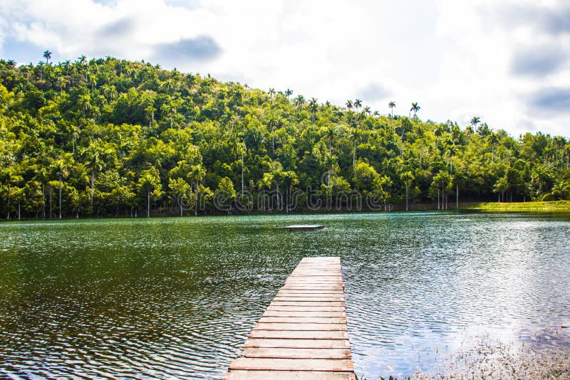 The Terrazas, Cuba stock image. Image of plants, wonderful - 144961795