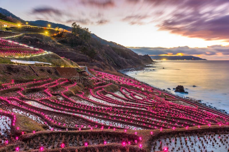 Terrazzi Del Riso Nel Giappone Fotografia Stock - Immagine di riso ...