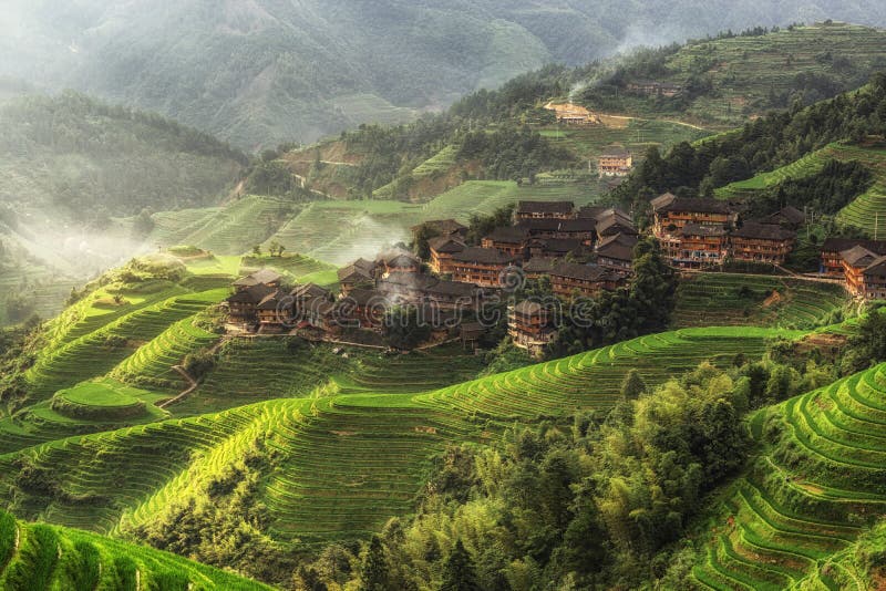 Terrazzo Del Riso Di Longji Fotografia Stock - Immagine di asia, riso ...