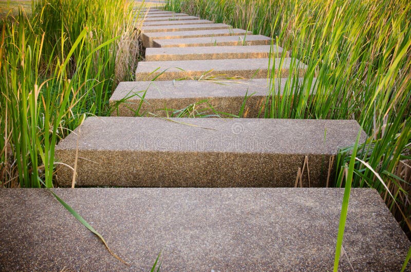 Terrazzo Floor Walk Way in Garden Stock Photo - Image of element ...