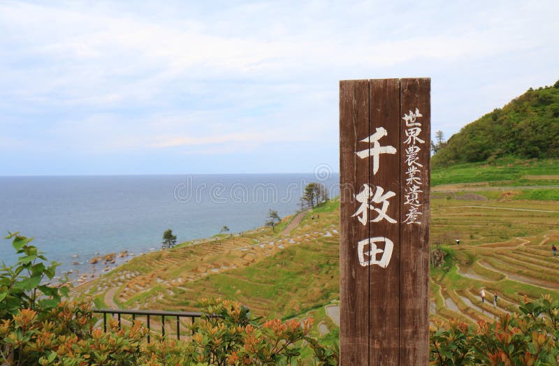 Terrazzo Wajima Ishikawa Giappone Della Risaia Immagine Stock ...