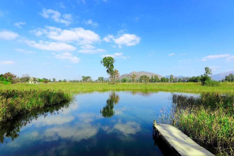 Terre Humide Avec Le Pilier Et La Note Blanche Photo stock - Image du ...