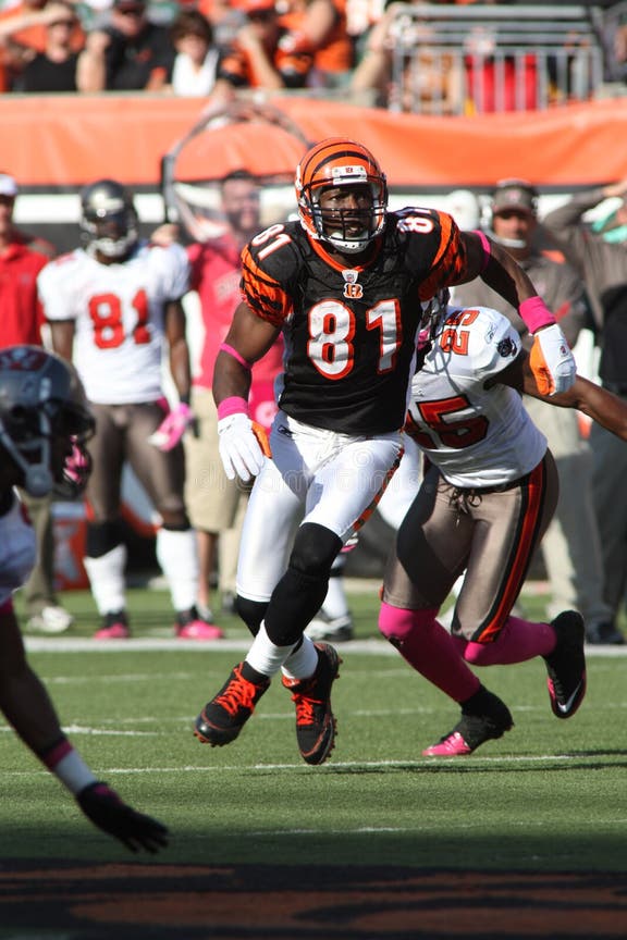 Terrell Owens editorial stock photo. Image of receiver - 186909768