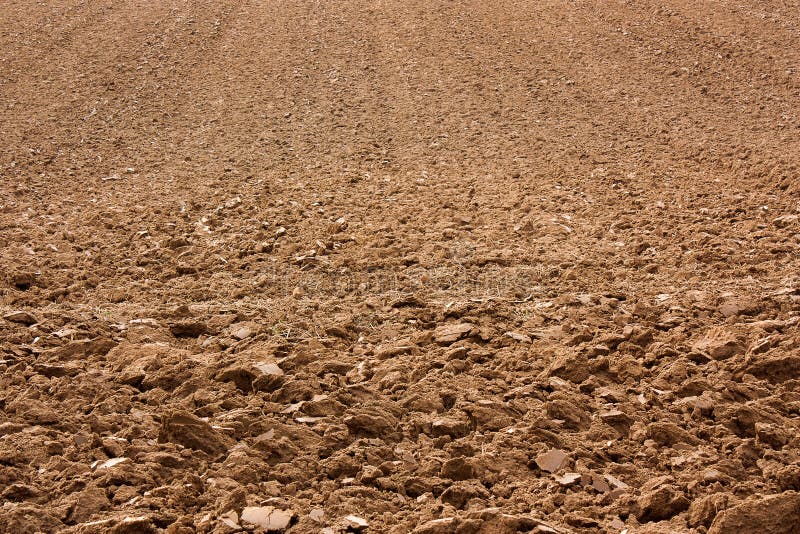 Terreno arato fotografia stock. Immagine di settembre - 60901986