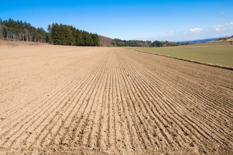 Arable. image stock. Image du saleté, agrobusiness, plat - 15367635