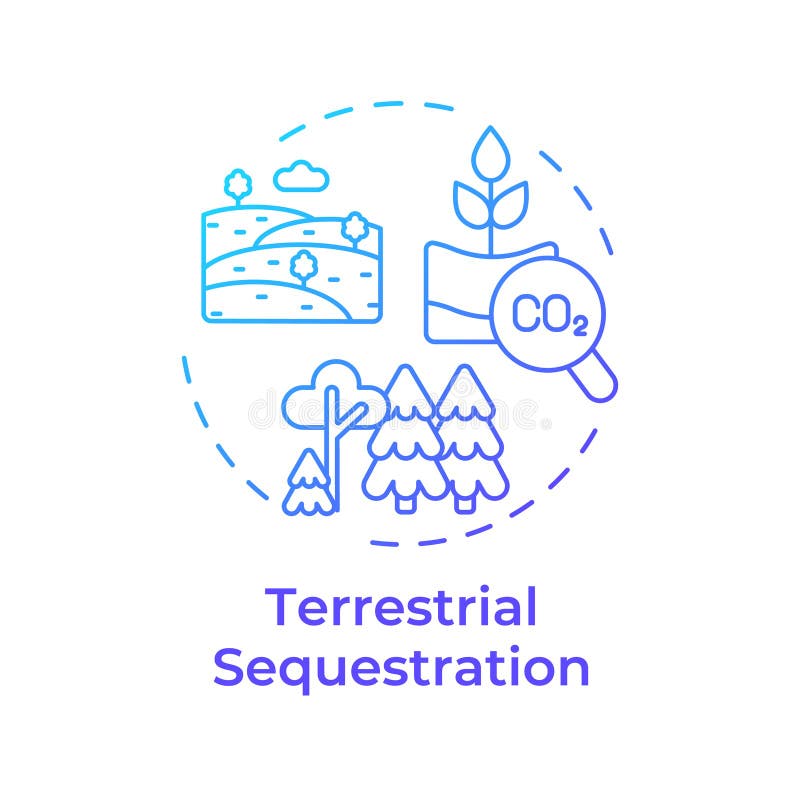Terrestrial Sequestration Blue Gradient Concept Icon Stock Vector ...