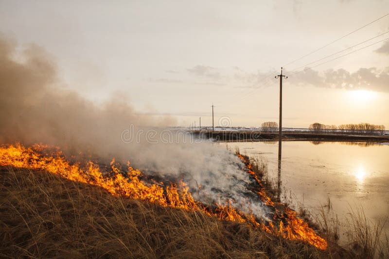 A Terrible Fire Destroys the Field. the Flame Burns the Spring Grass ...