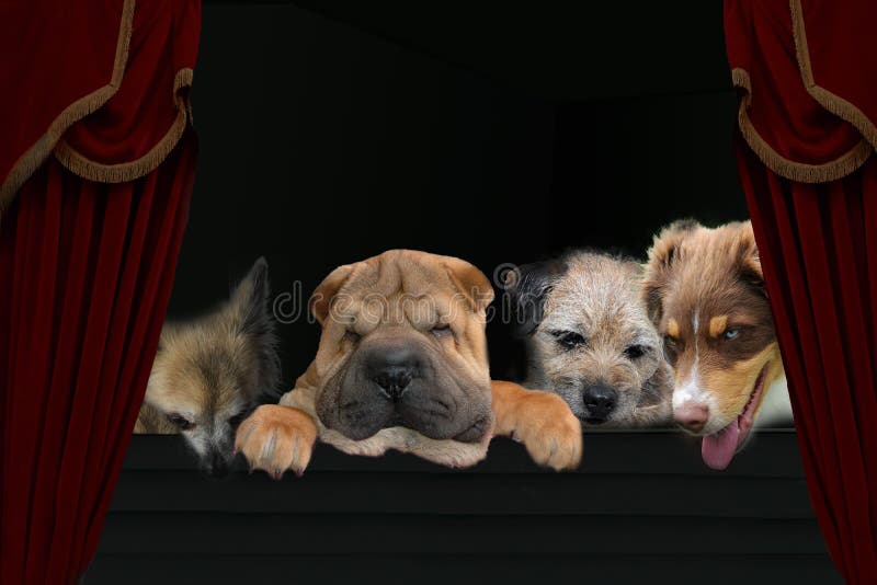 It is so terribly dull stock image. Image of elegant - 154997775