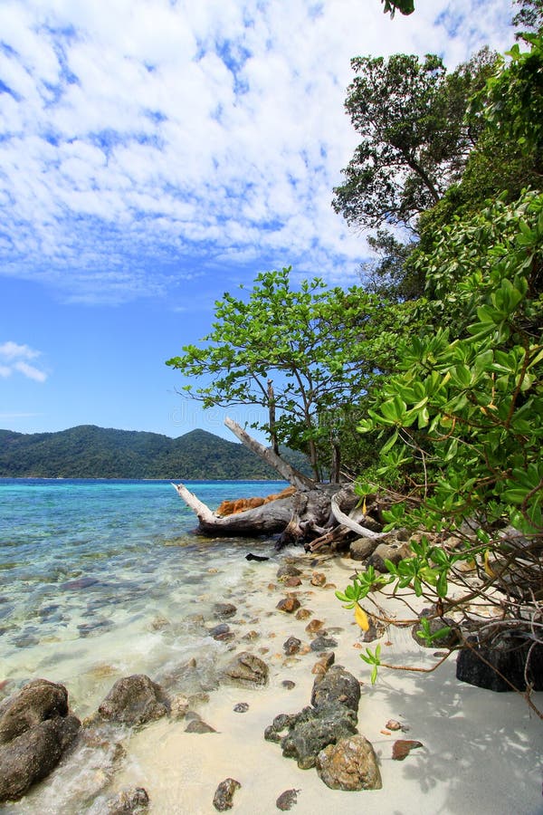 Terrific Sea View on Sunny Day Stock Image - Image of shadow, fresh ...