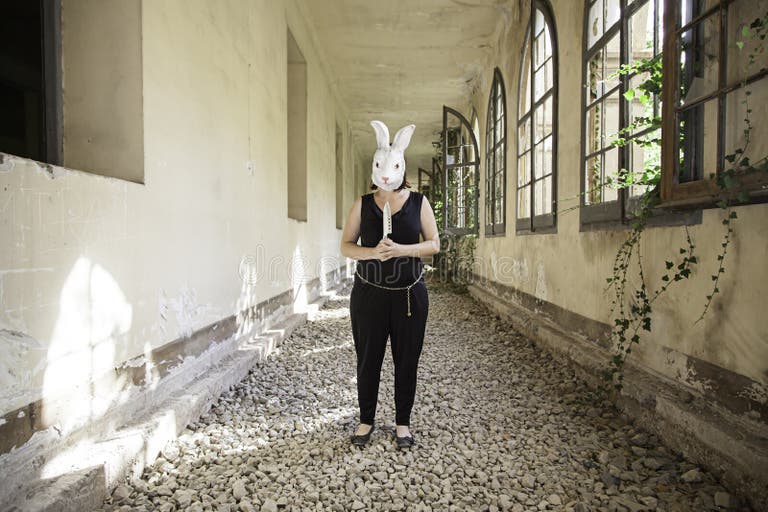 Terrifying killer rabbit stock photo. Image of murderer - 44871038