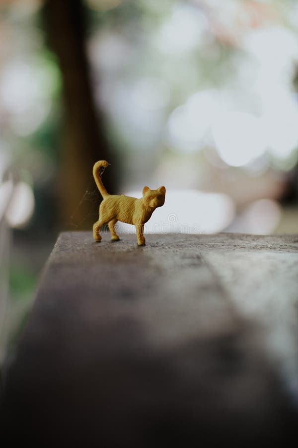Miniature Cat stock image. Image of yellow, little, miniature - 221906221