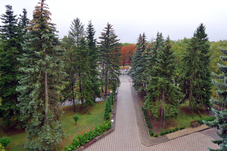 The Territory of the Sanatorium in the Middle of the Forest. Sanatorium ...