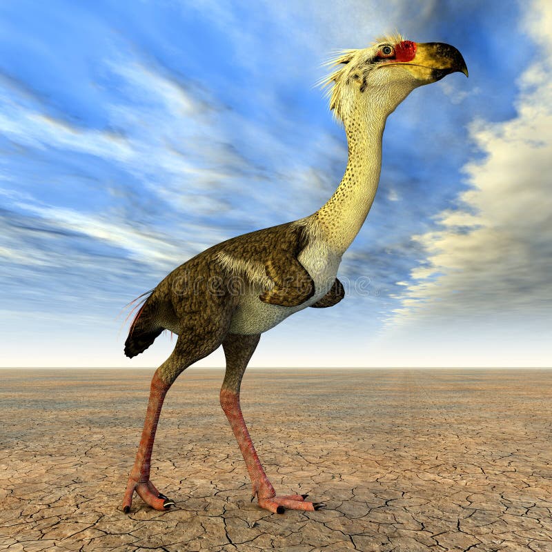 Terror Bird Phorusrhacos, Computer generated 3D illustration with the ...