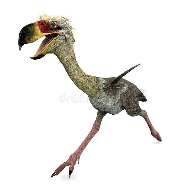 Terror Bird Phorusrhacos, Computer generated 3D illustration with the ...