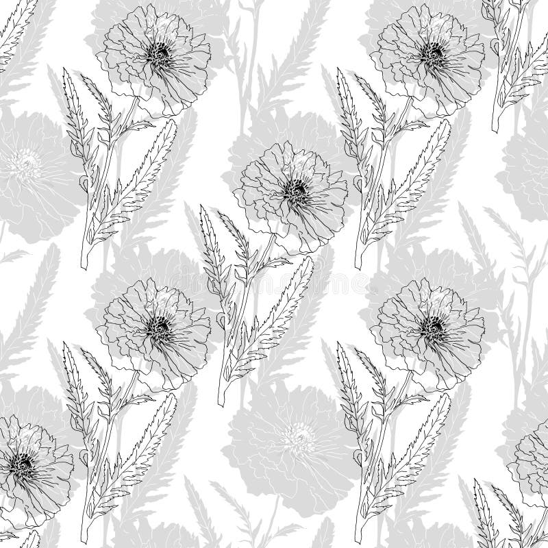 Terry Poppy. Floral Seamless Texture. Stock Illustration - Illustration ...