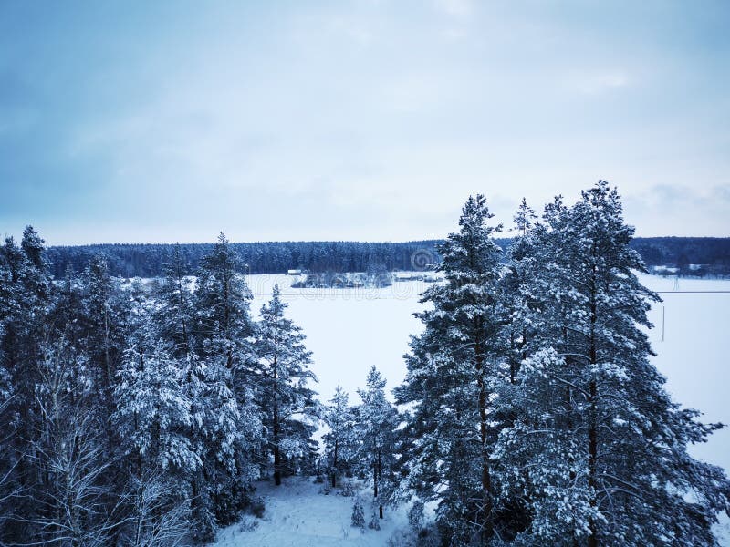 Tervete Nature Park stock image. Image of beautiful - 262261617