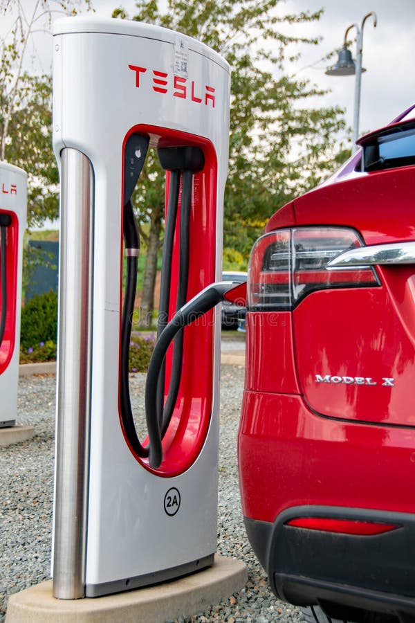 Softly Focused Red Brown Peacock Butterfly Softly Landing on Lavender ...