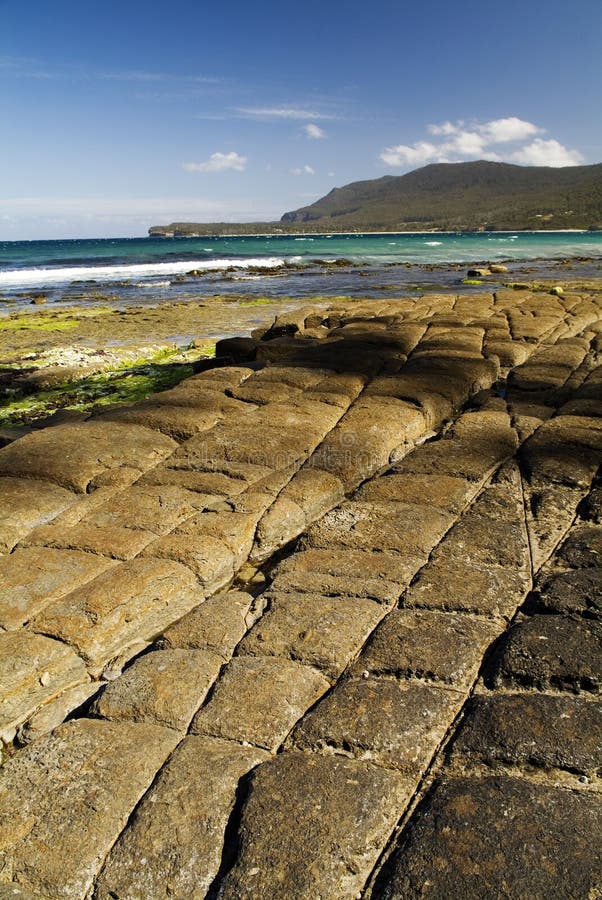 217 Tessellated Rocks Stock Photos - Free & Royalty-Free Stock Photos ...