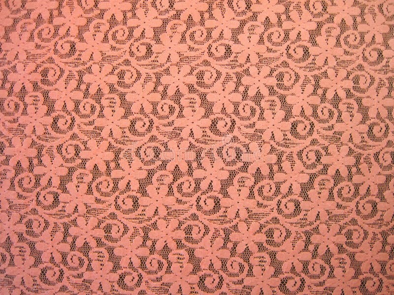Pizzo rosa immagine stock. Immagine di fiore, rosa, nero - 39394727