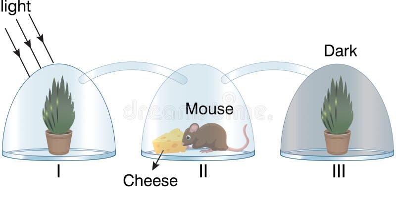 Experiments Mause Stock Illustrations – 1 Experiments Mause Stock ...