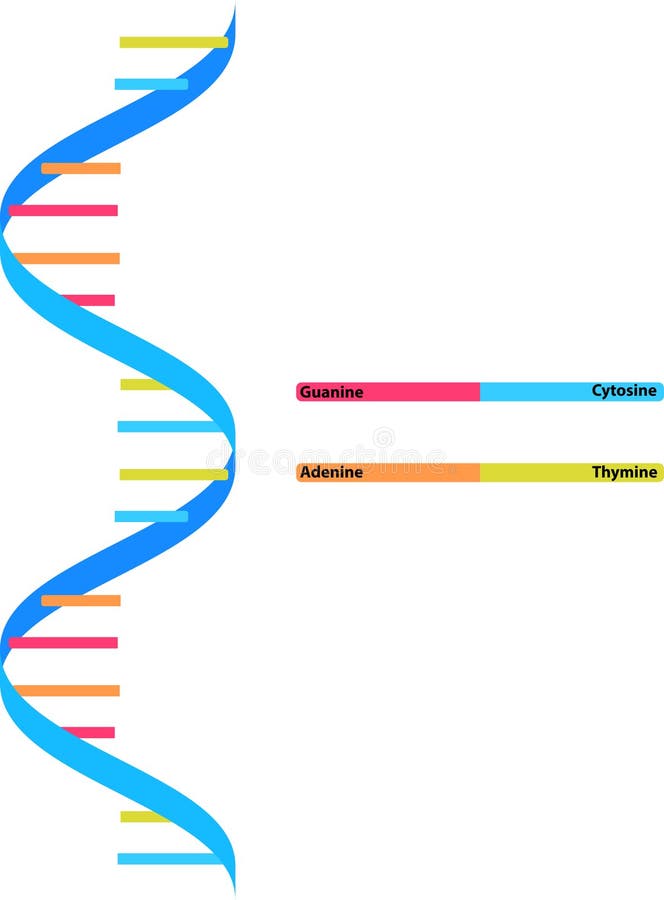 RNA Design in Medical, RNA Scientific, RNA with Details, RNA Sign ...
