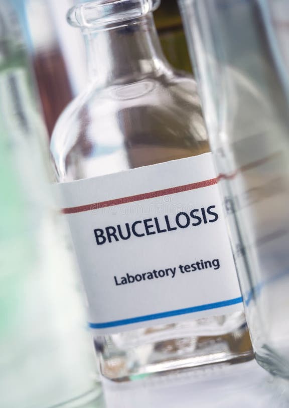 Test Brucellosis in Laboratory, Conceptual Image Stock Image - Image of ...