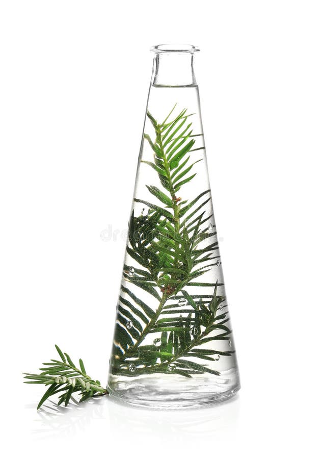 Test Flask with Water on White Background Stock Photo - Image of liquid ...