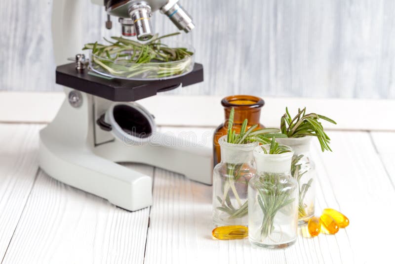 Test Herbs Samples on Microscope in Laboratory Close Up Stock Image ...