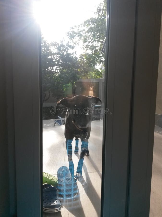 Wepr Stock Photos - Free & Royalty-Free Stock Photos from Dreamstime