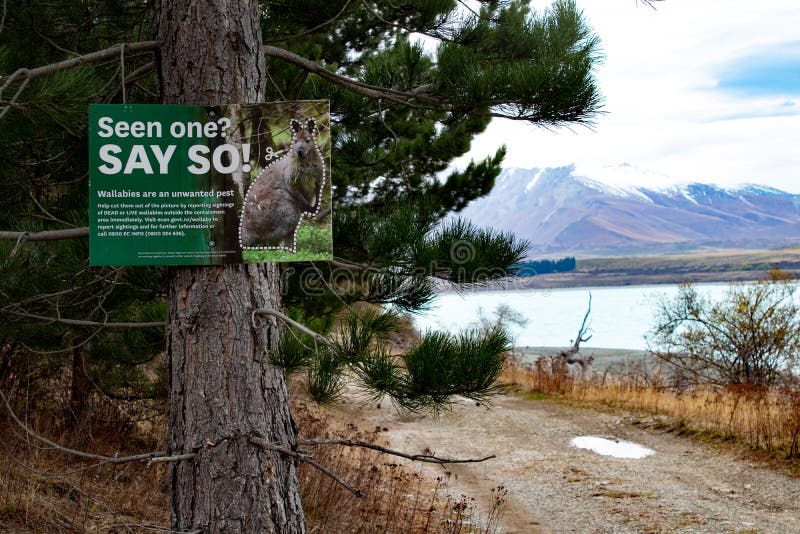 Test One Two Three Four Five Six Seven Editorial Image - Image of 2020 ...