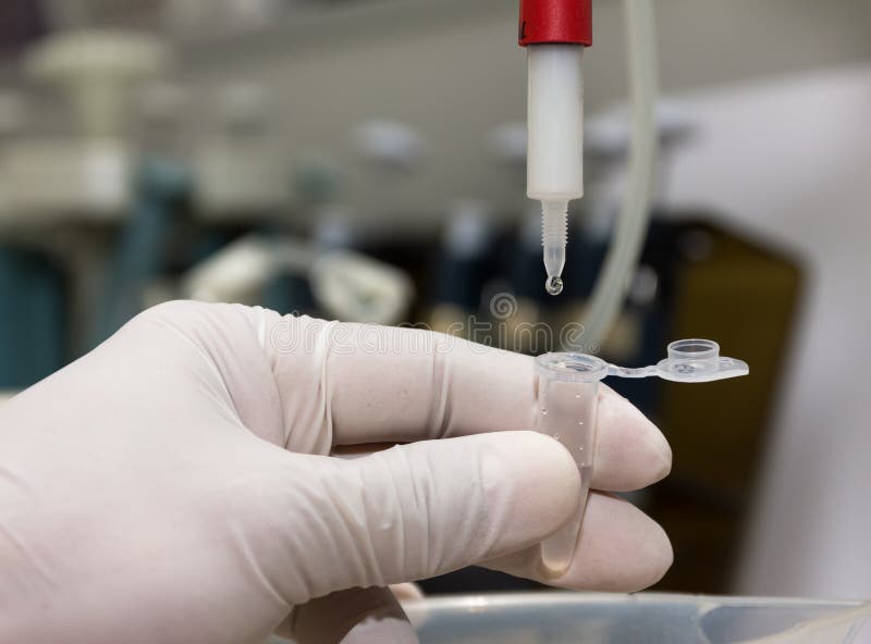 Test purify protein stock image. Image of laboratory - 61164795