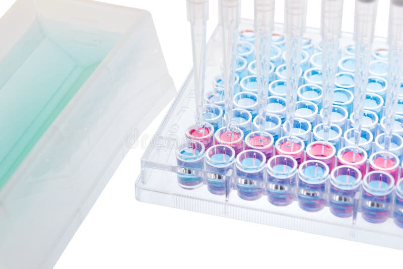 Test Sample Research Test Lab Elisa Stock Image - Image of experiment ...