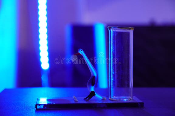 TEST TUBE and Bird Image in Low Light Editorial Stock Photo - Image of ...